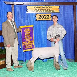 NAILE - Championdrive.com