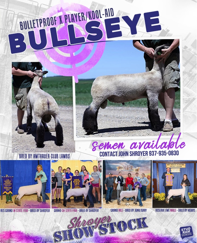 Bullseye - Championdrive.com