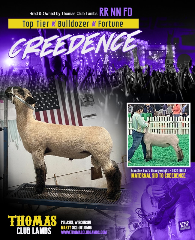 Creedence - Championdrive.com