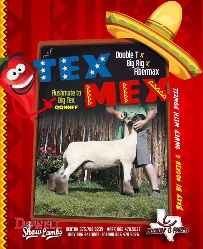 Tex Mex - Championdrive.com
