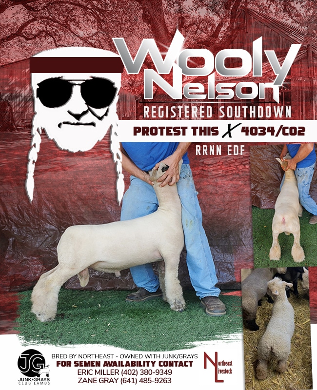 Wooly Nelson - Championdrive.com