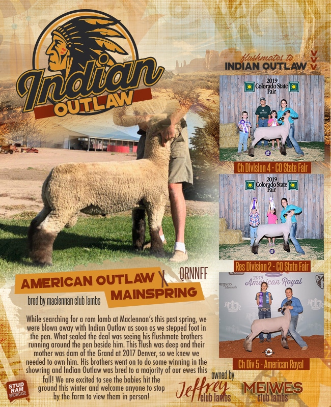 Indian Outlaw - Championdrive.com