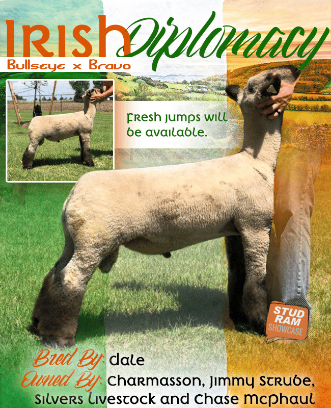 Irish Diplomacy - Championdrive.com