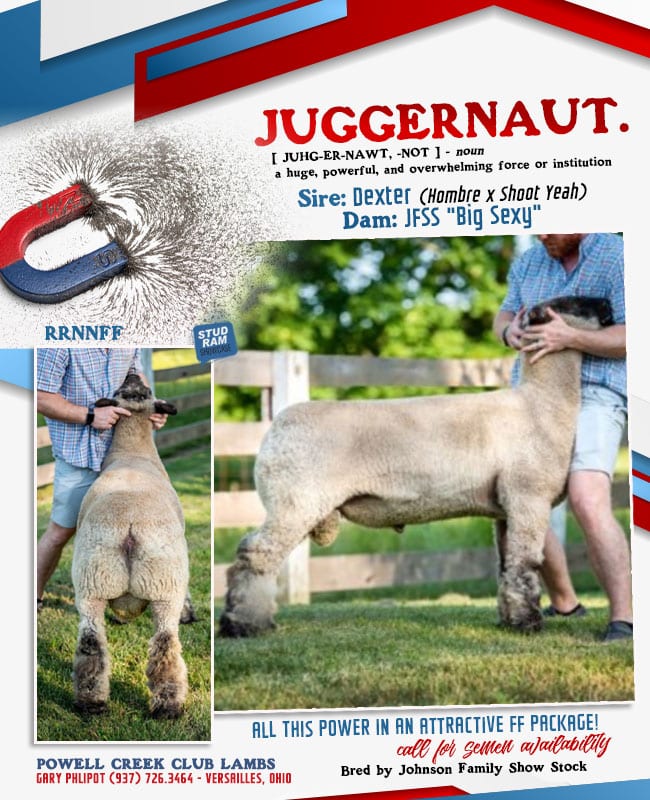 Juggernaut - Championdrive.com