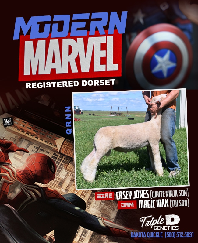 Modern Marvel - Championdrive.com