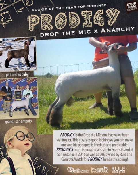 Prodigy - Championdrive.com