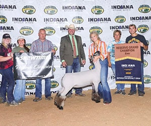 Indiana Stock Show - Championdrive.com