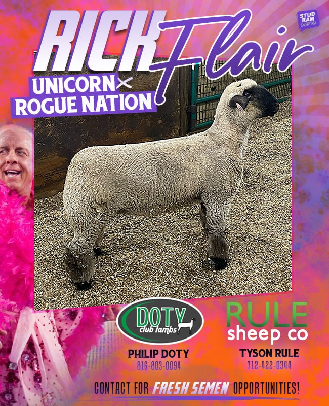 Rick Flair - Championdrive.com