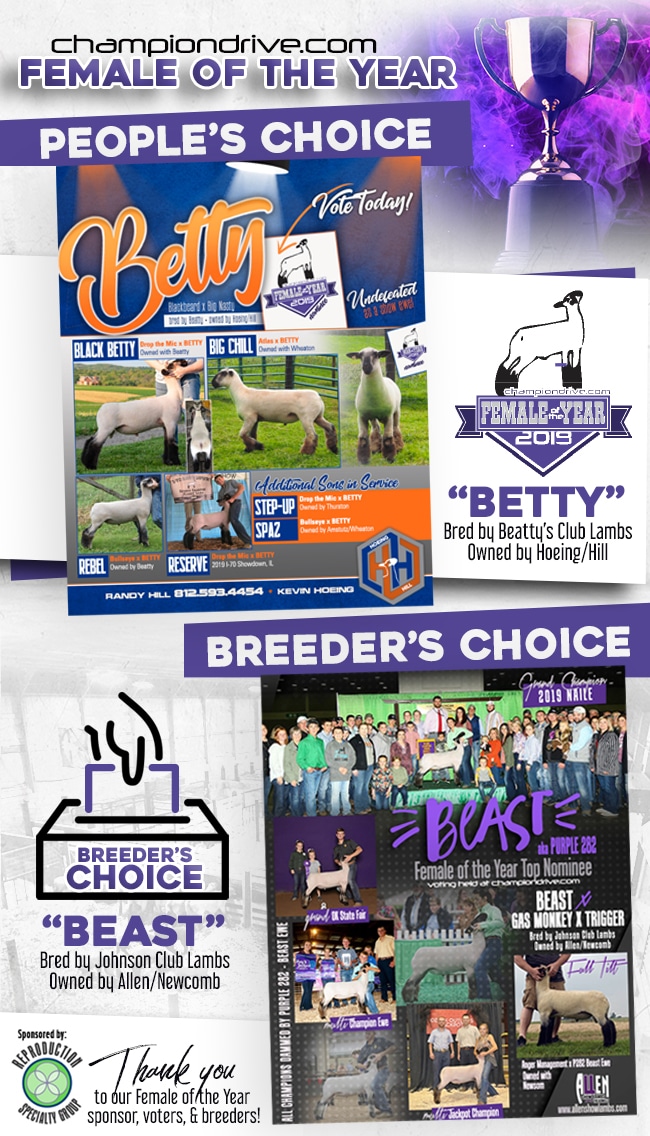 2019 "Of The Year" Winners - Championdrive.com