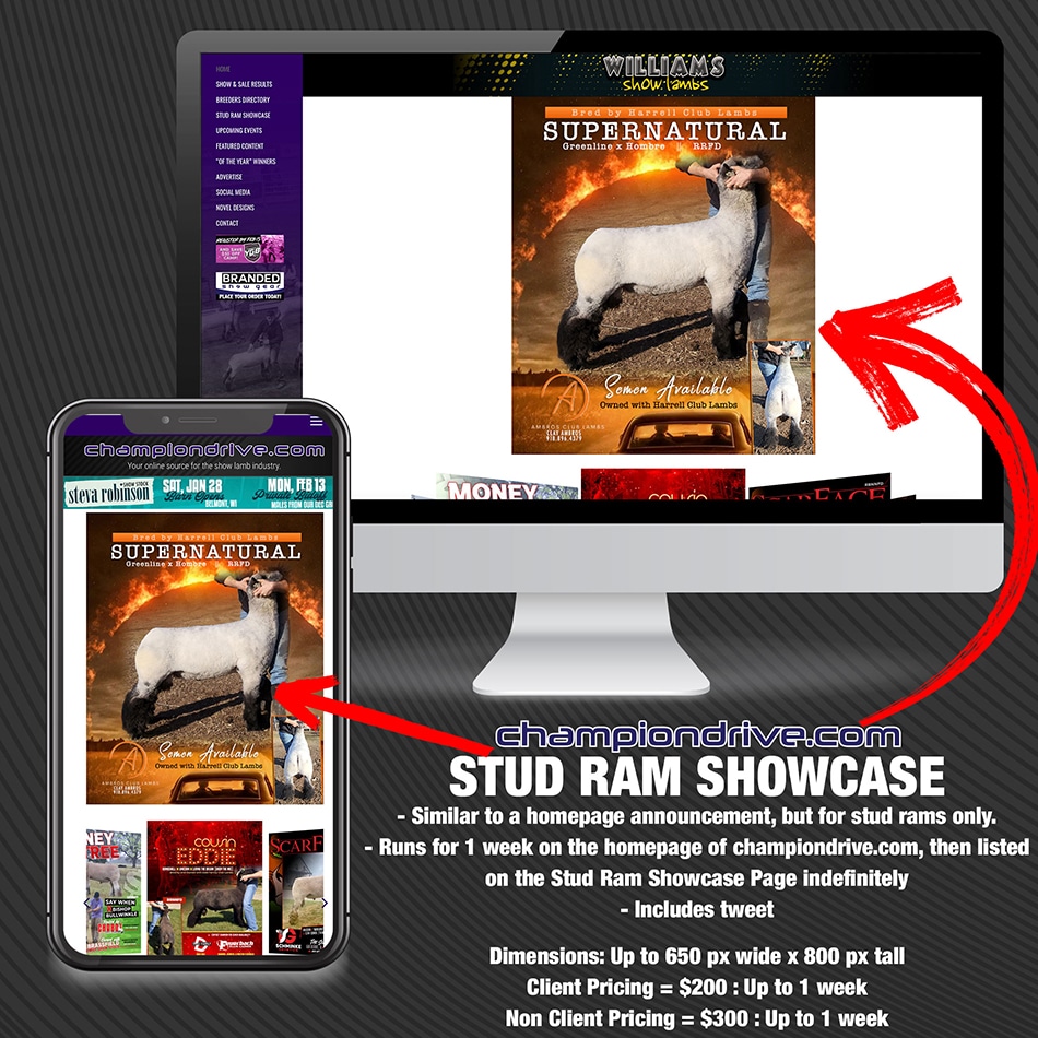 Advertise - Championdrive.com