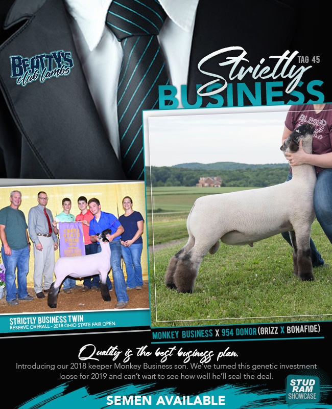 Strictly Business - Championdrive.com