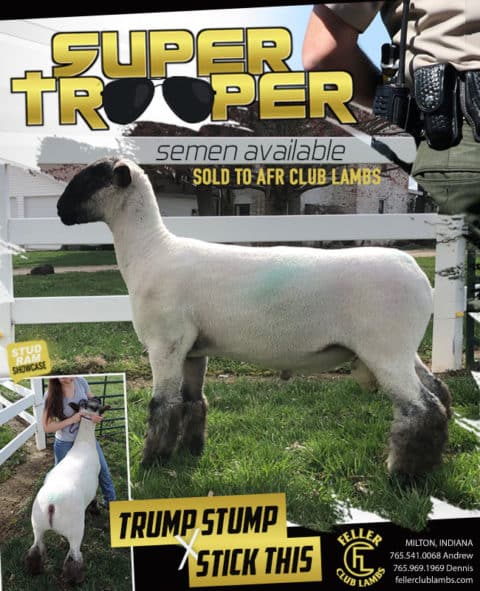 Super Trooper - Championdrive.com