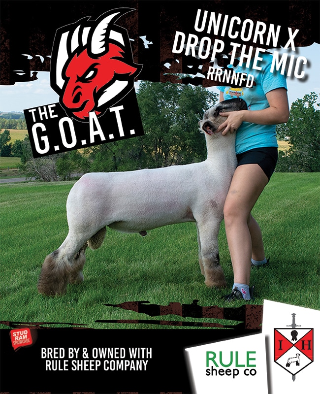 The G.O.A.T - Championdrive.com