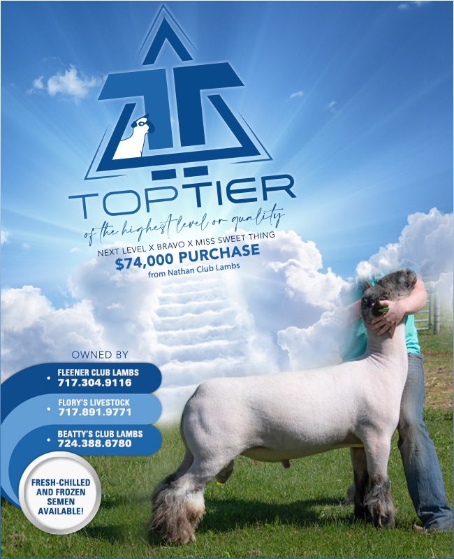 Top Tier - Championdrive.com