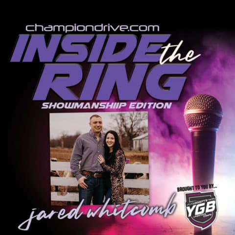 Featured Content - Championdrive.com