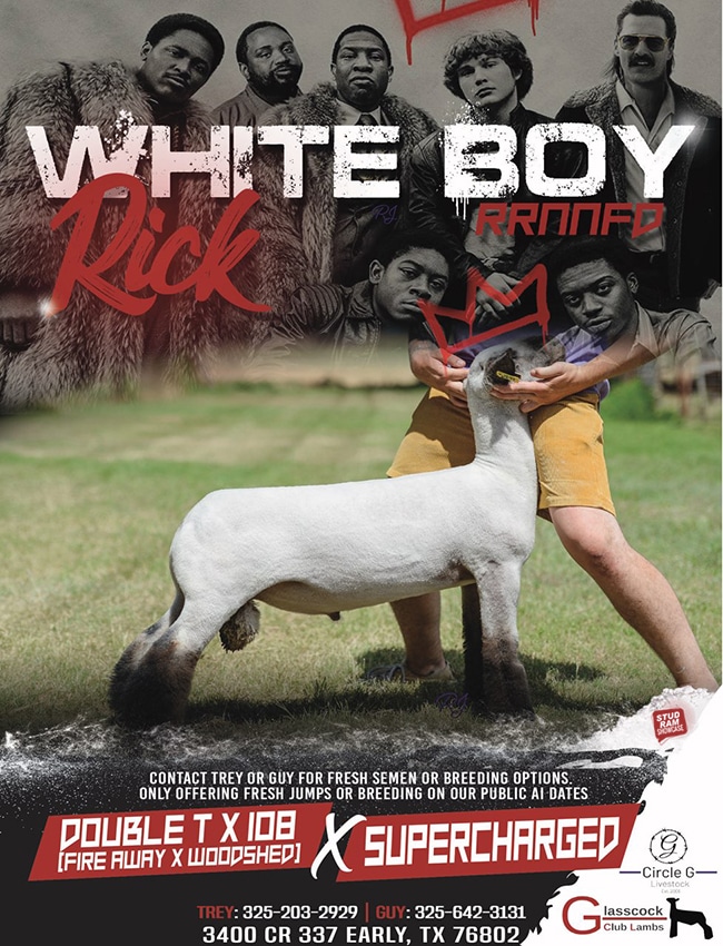White Boy Rick - Championdrive.com