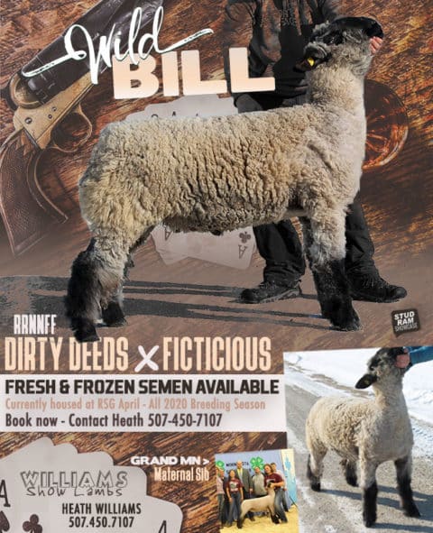 Wild Bill - Championdrive.com