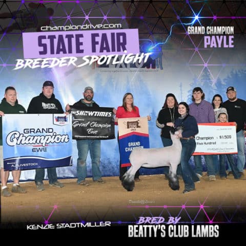 Beatty's Club Lambs - Championdrive.com