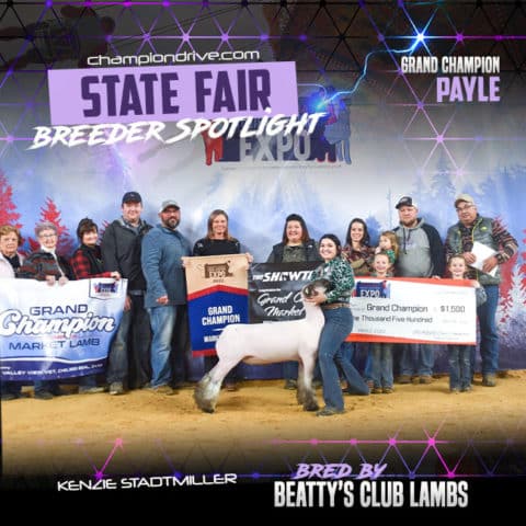 Beatty's Club Lambs - Championdrive.com