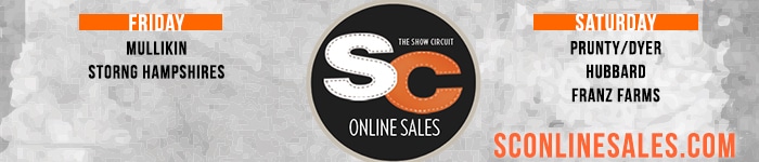 Cade Wilson - Championdrive.com