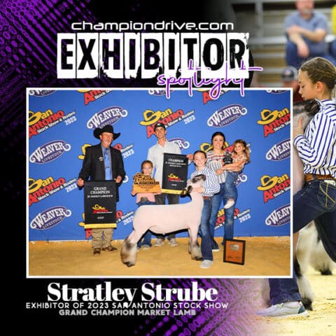 Stratley Strube - Championdrive.com