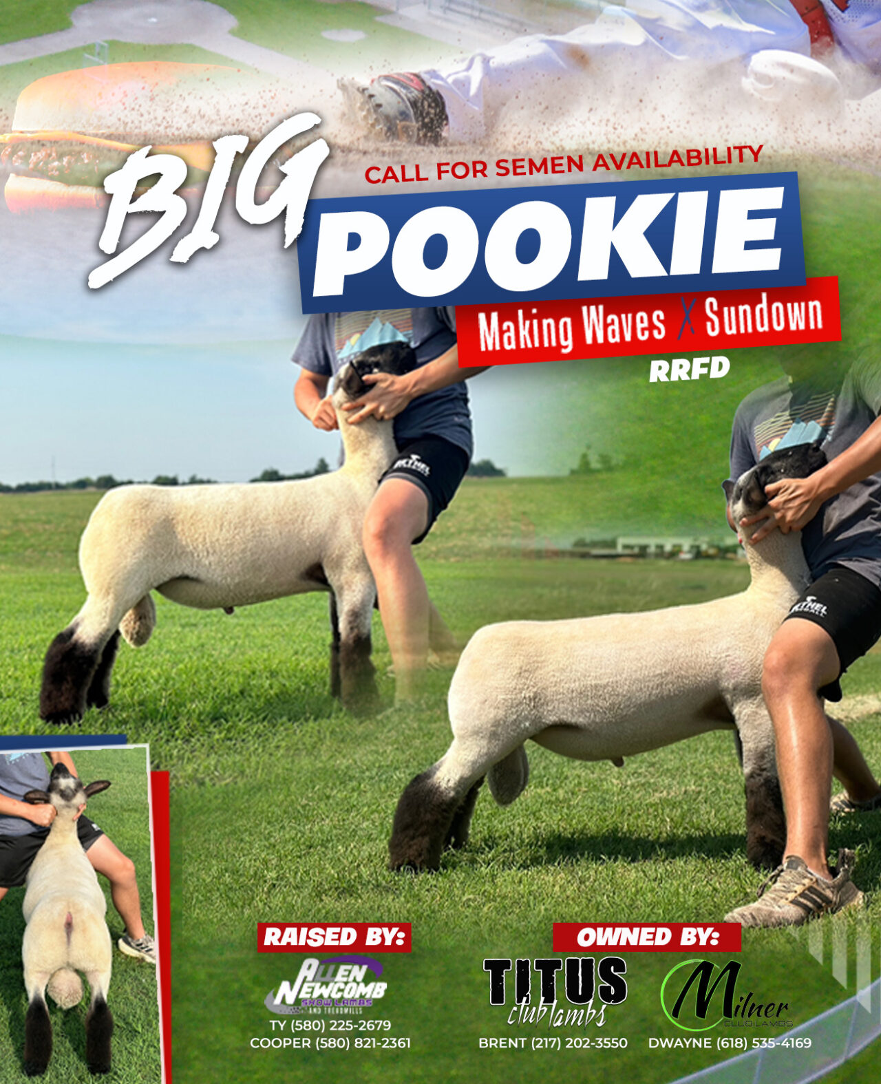 Big Pookie - Championdrive.com