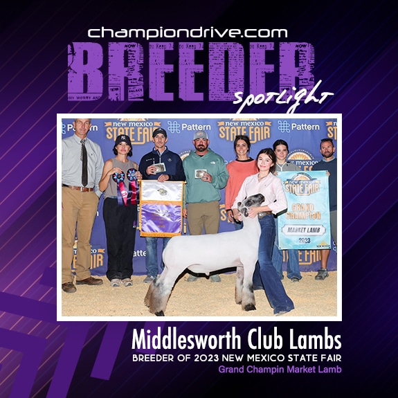Middlesworth Club Lambs - Championdrive.com
