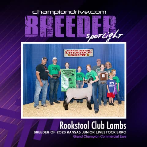 Rookstool Club Lambs - Championdrive.com
