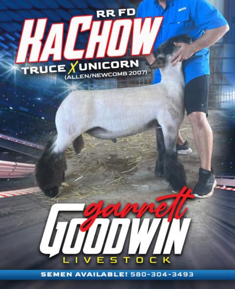 KaChow - Championdrive.com