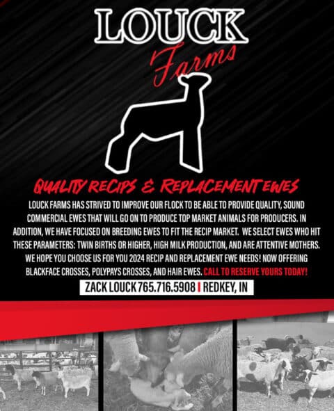 Louck - Championdrive.com