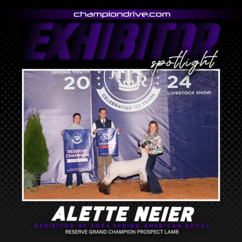 Home - Championdrive.com