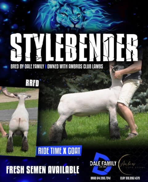 Stylebender - Championdrive.com