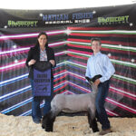 Show & Sale Results - Championdrive.com