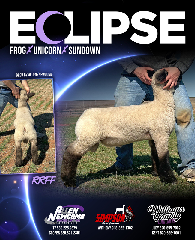 Stud Ram Showcase - Championdrive.com