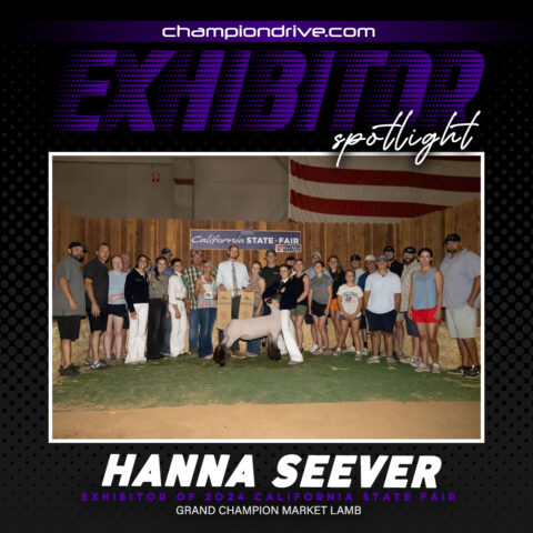 Hanna Seever - Championdrive.com