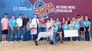Show & Sale Results - Championdrive.com