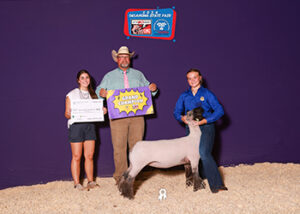 Show & Sale Results - Championdrive.com