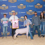 Show & Sale Results - Championdrive.com