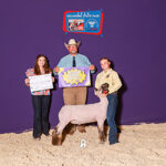 Show & Sale Results - Championdrive.com