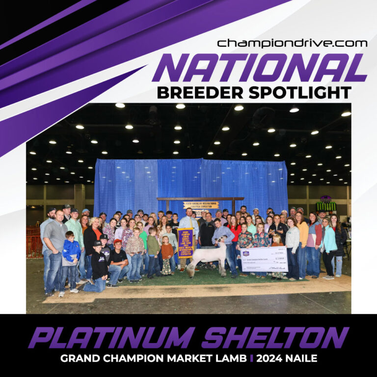 Home - Championdrive.com