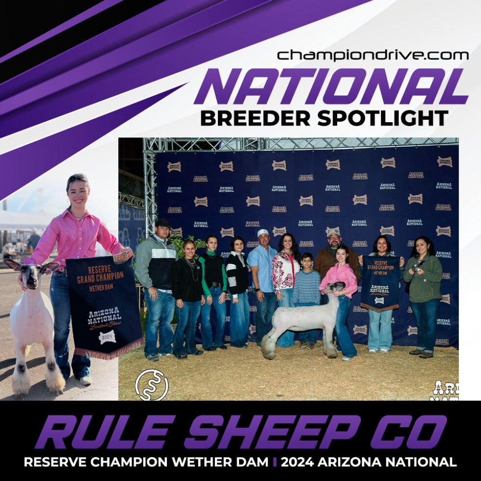 Rule Sheep Company - Championdrive.com