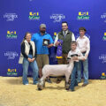 Show & Sale Results - Championdrive.com