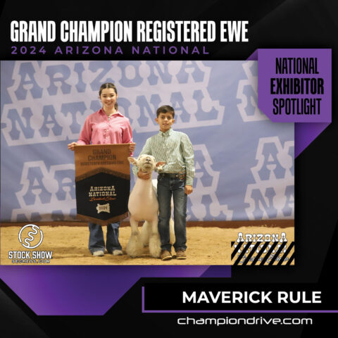 Maverick Rule - Championdrive.com