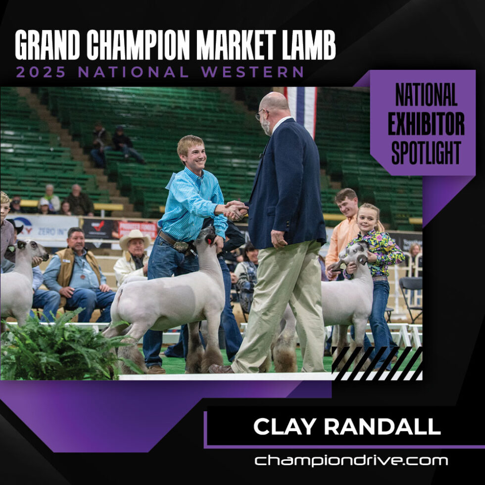 Clay Randall - Championdrive.com