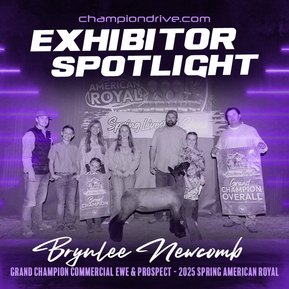 Brynlee Newcomb - Championdrive.com