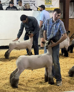 Show & Sale Results - Championdrive.com