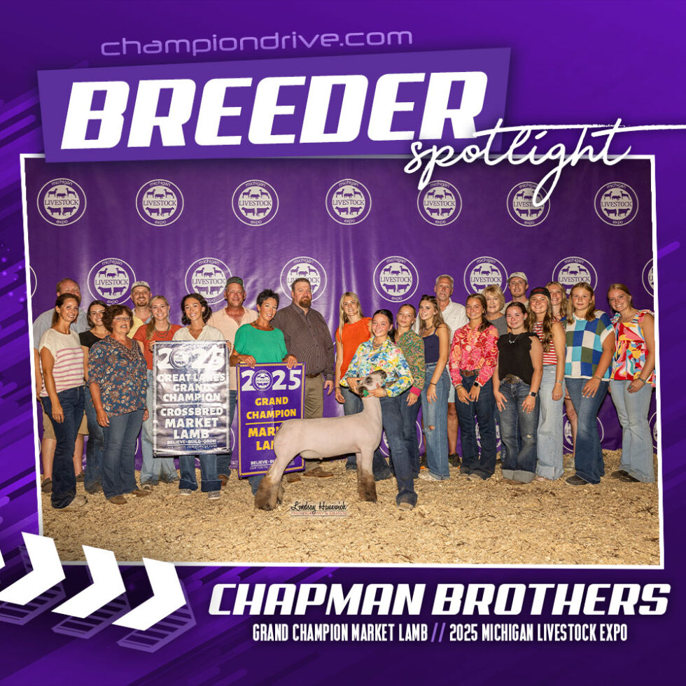 Chapman Brothers Show Stock - Championdrive.com