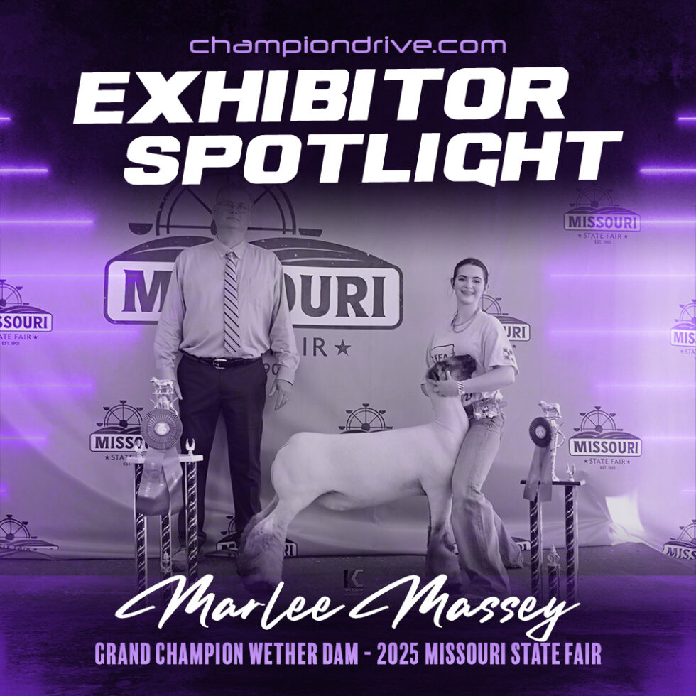 Marlee Massey - Championdrive.com