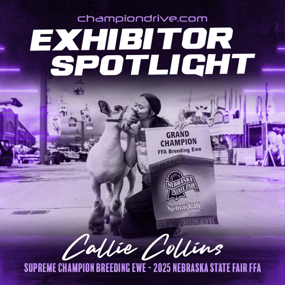 Home - Championdrive.com