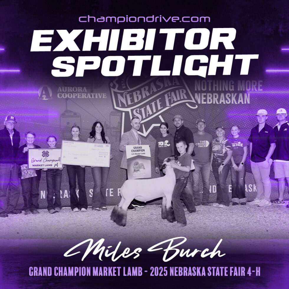 Home - Championdrive.com